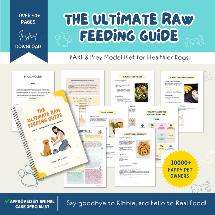 Raw Feeding Guide for Dogs – BARF Diet Printable & Recipes – PRINTABLE ...