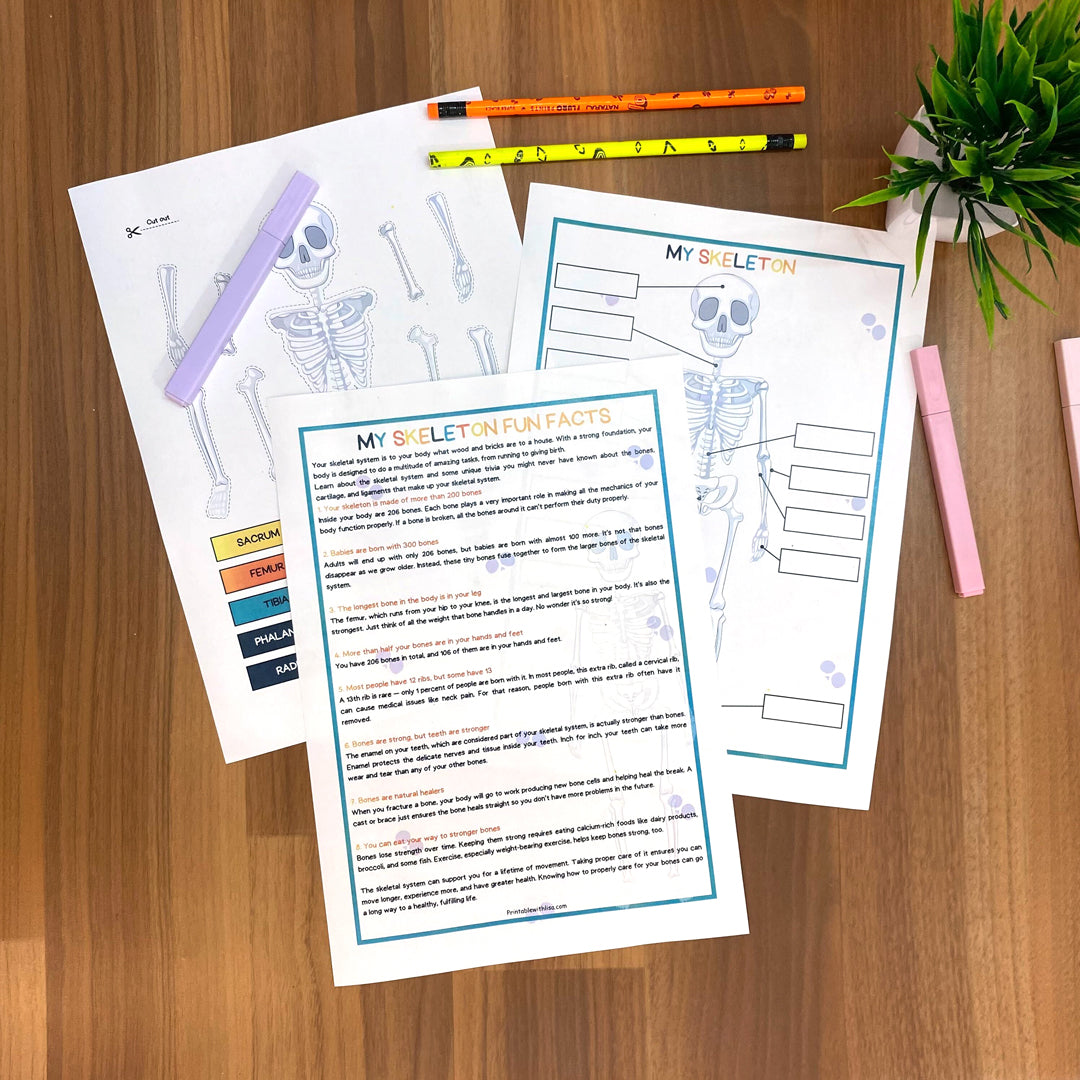 Human Anatomy Busy Book Printable | Preschool Science Worksheets ...