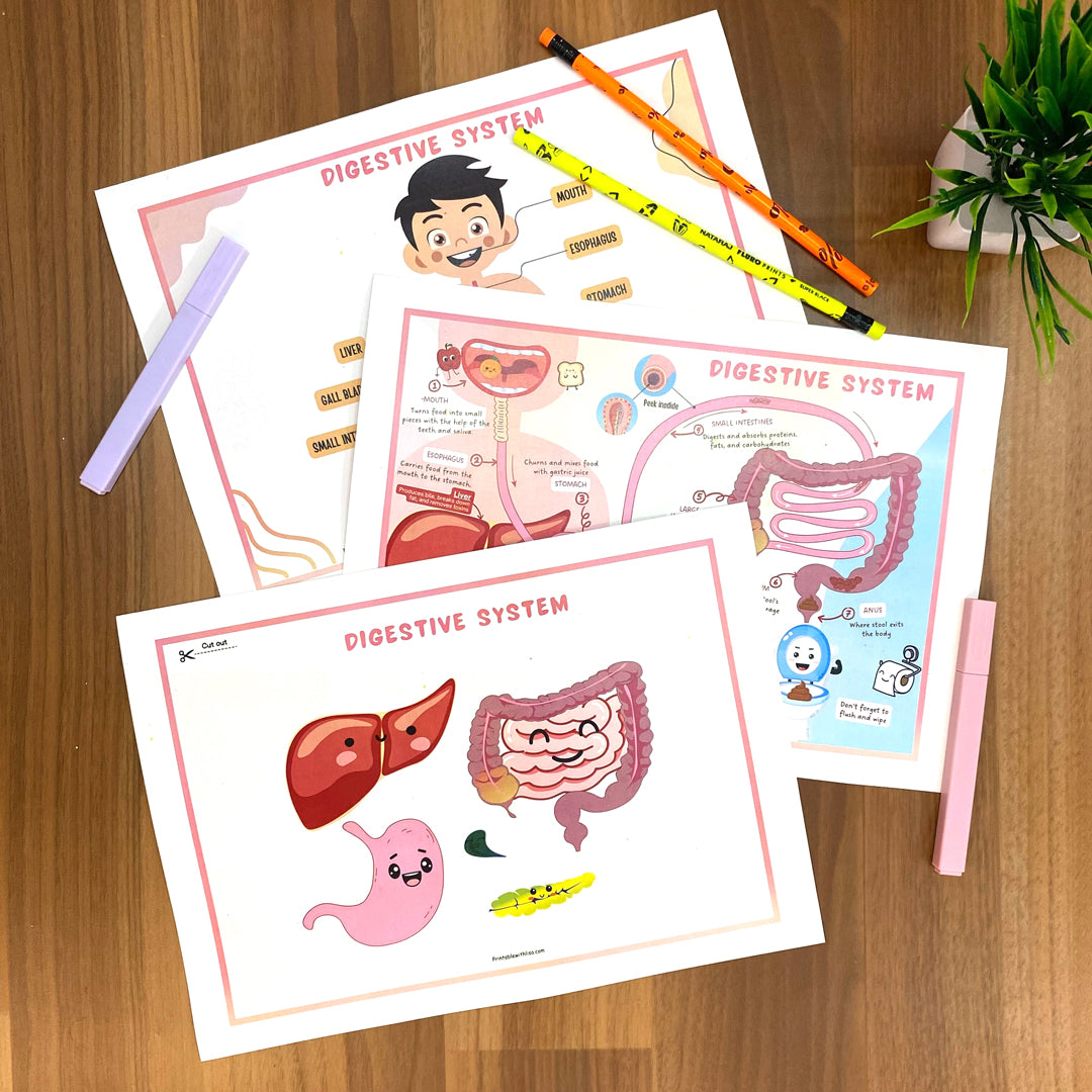 Human Anatomy Busy Book Printable | Preschool Science Worksheets ...